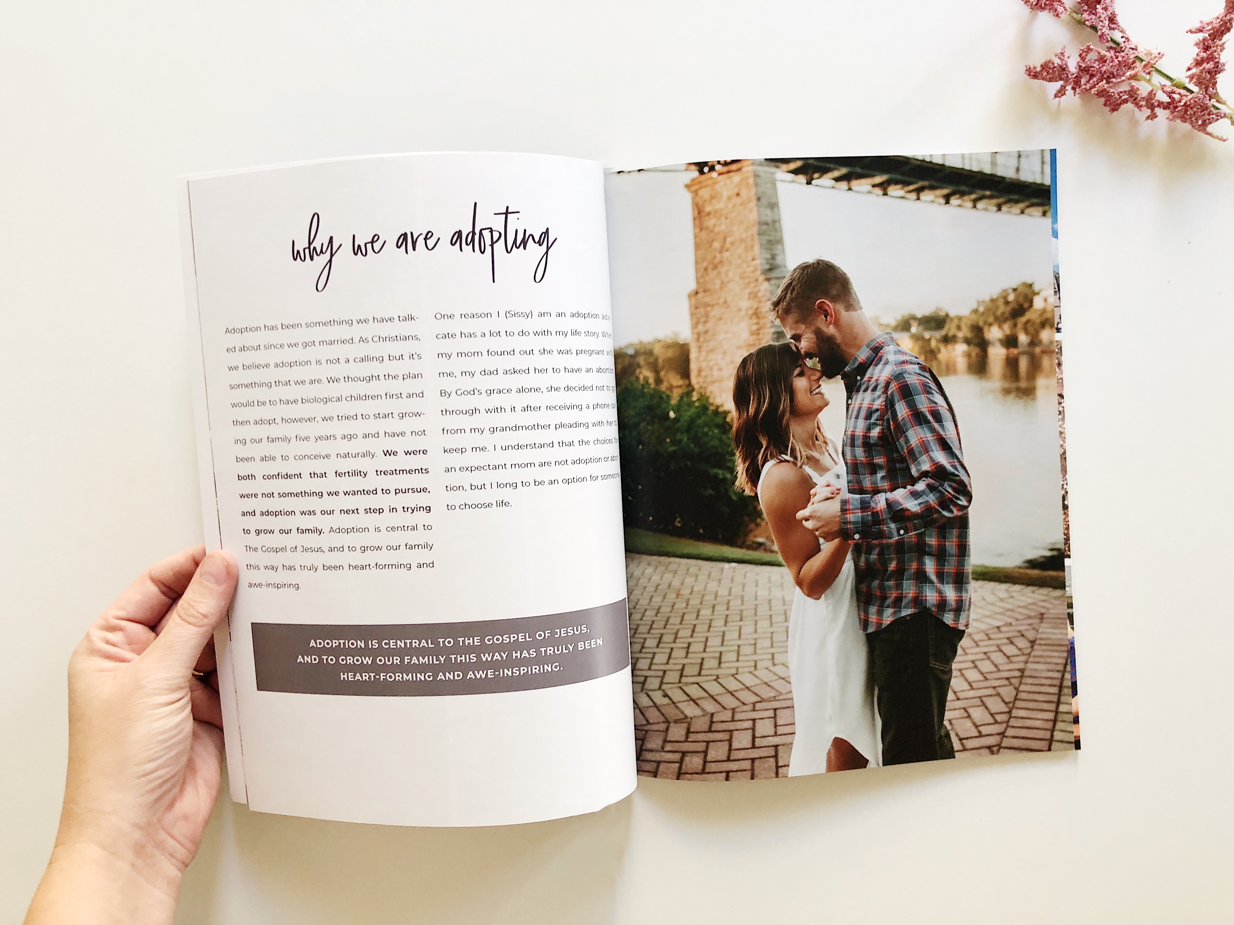 Profile Books — Kindred + Co.